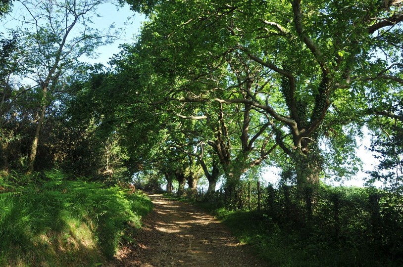 Urtsua - Ursuia (Macaye) - Guide du Pays Basque